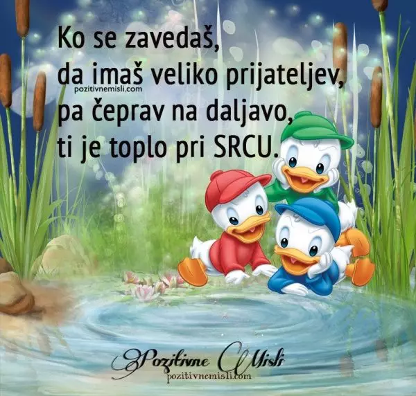 citati za prijatelje : Pozitivne Misli