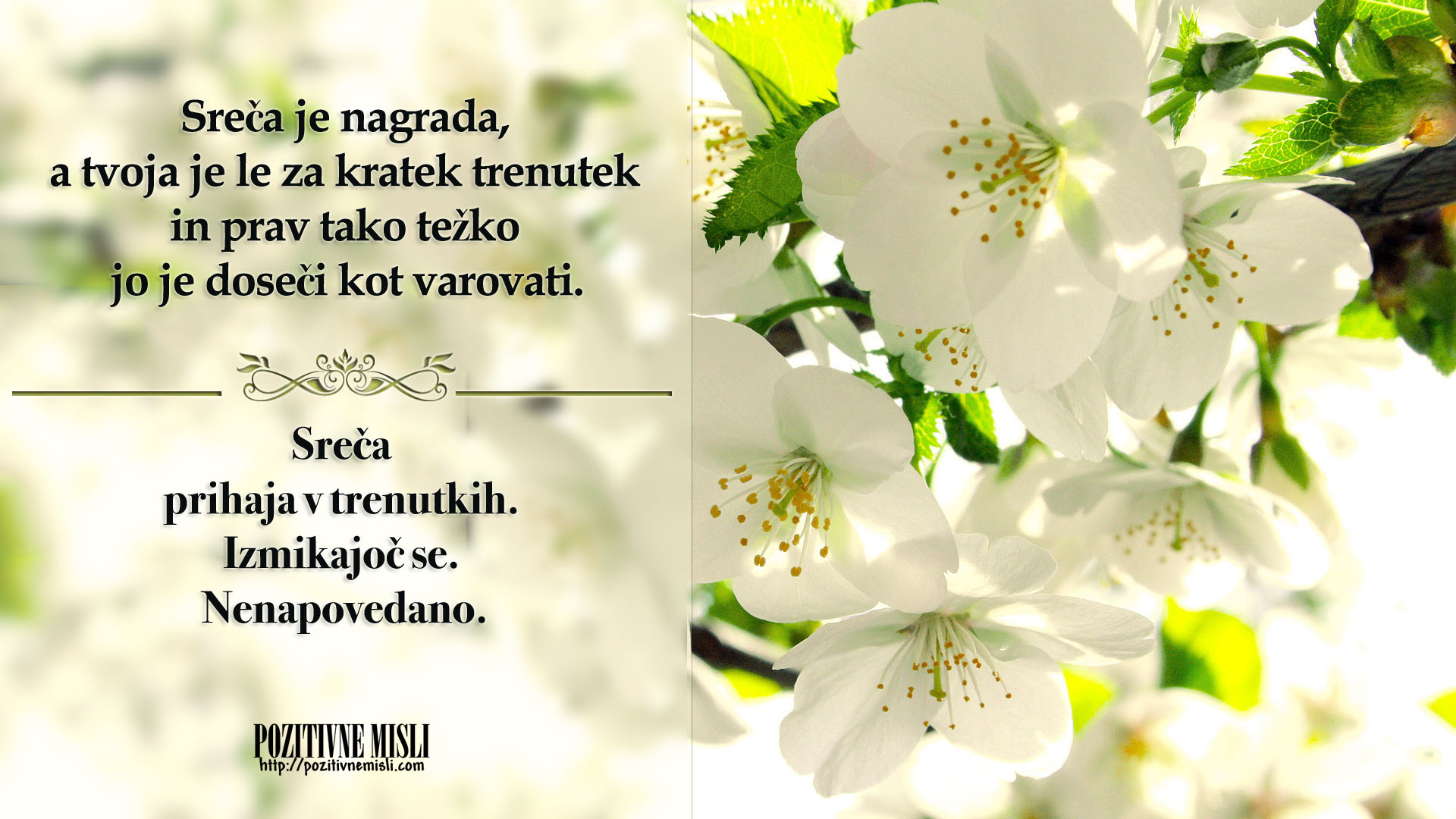 Sreča je nagrada - modre misli o uspehu
